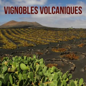 Guide Voyage Ile Canaries (Lanzarote, Fuerteventura...)