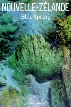 Visiter Blue Spring (Rotorua, Nouvelle-Zélande) - Conseils + Photos